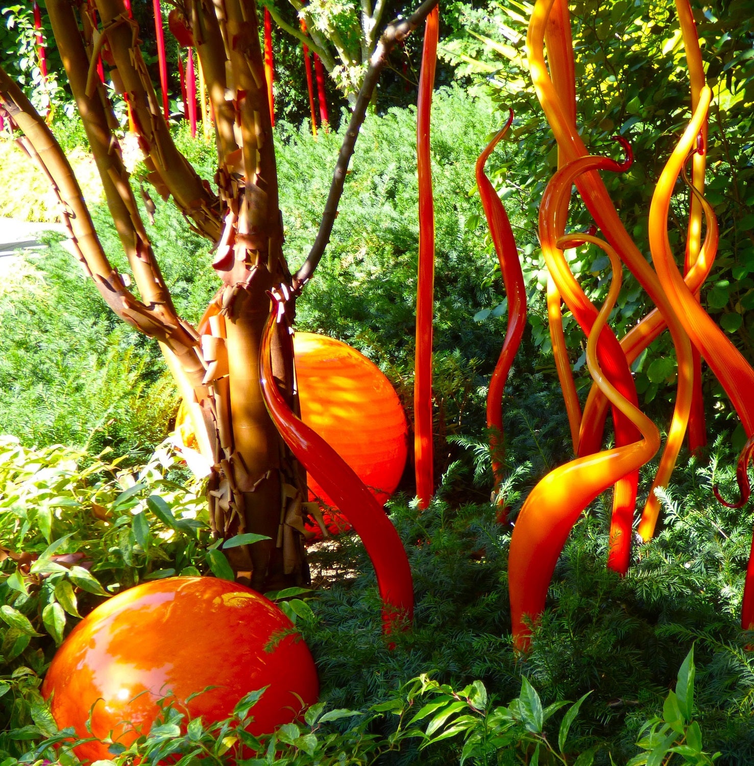 Blog Post - Chihuly Garden and Glass | Amsterdam Garden Centre