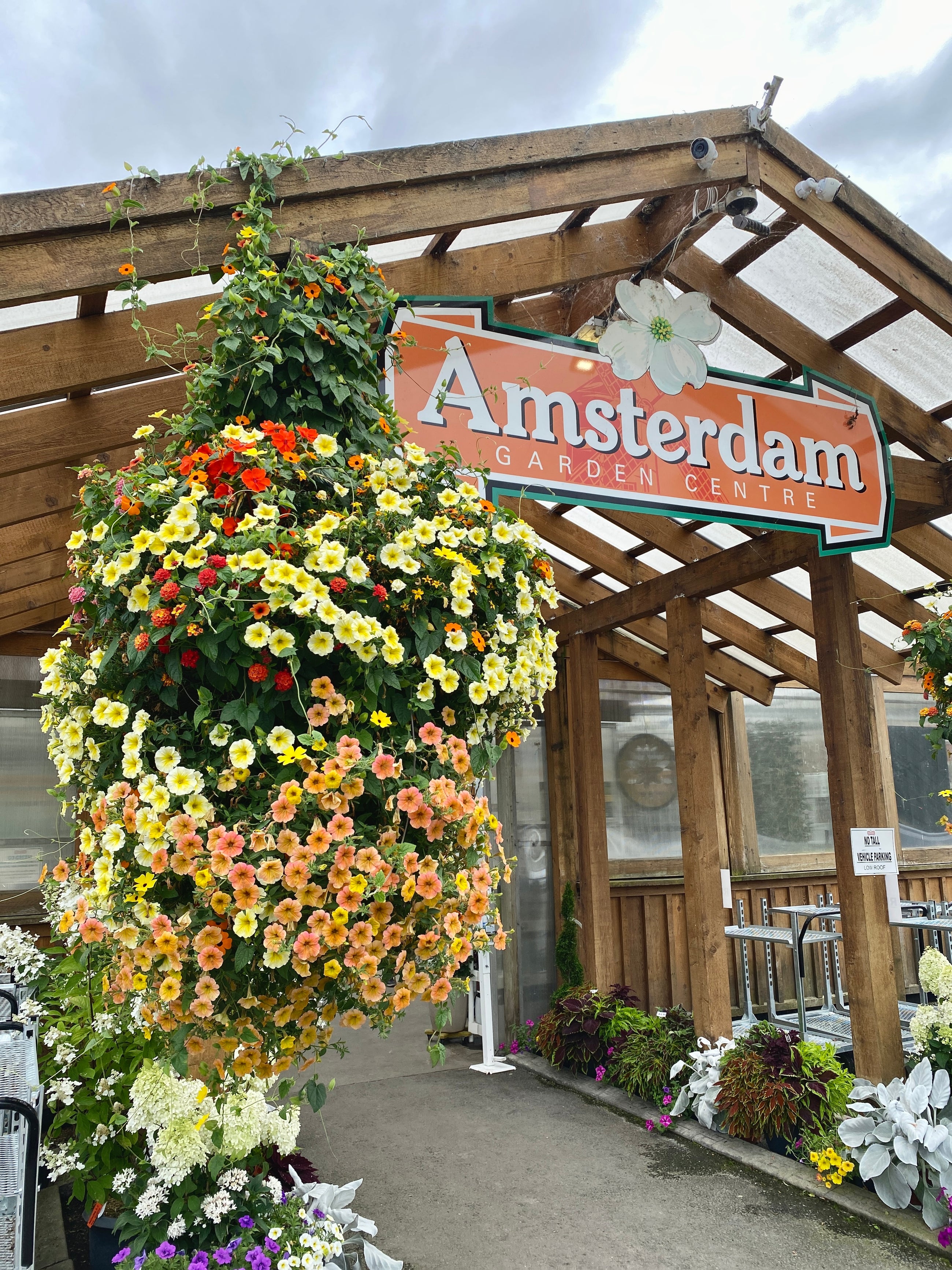 Attracting Wild Birds to Your Garden – Amsterdam Garden Centre