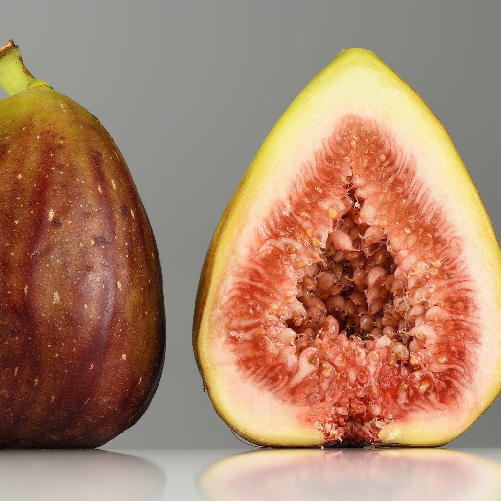 Preorder Fig - Ficus carica ‘Brown Turkey’ | Amsterdam Garden Centre