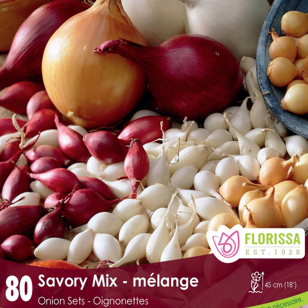 Preorder Savory Mix Onion Sets | Amsterdam Garden Centre