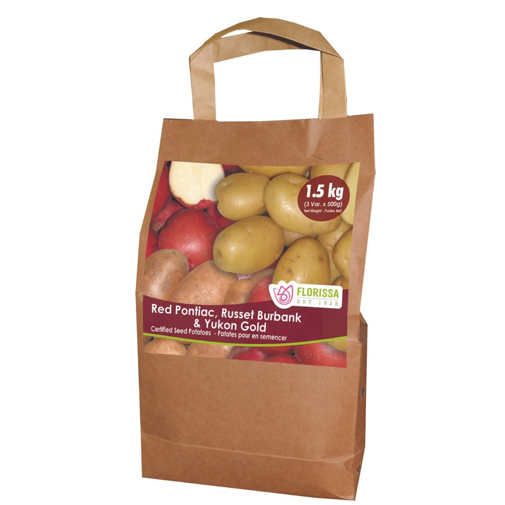Preorder Potato Combo Bag - C1 | Amsterdam Garden Centre
