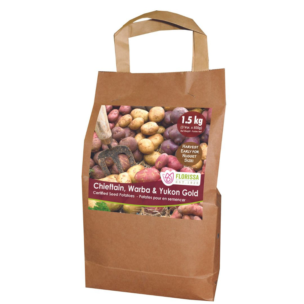 Preorder Potato Combo Nugget Bag - C4 | Amsterdam Garden Centre