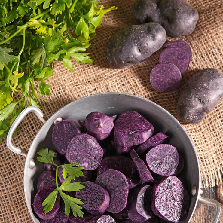 Preorder Potato ‘Violet Queen’ | Amsterdam Garden Centre