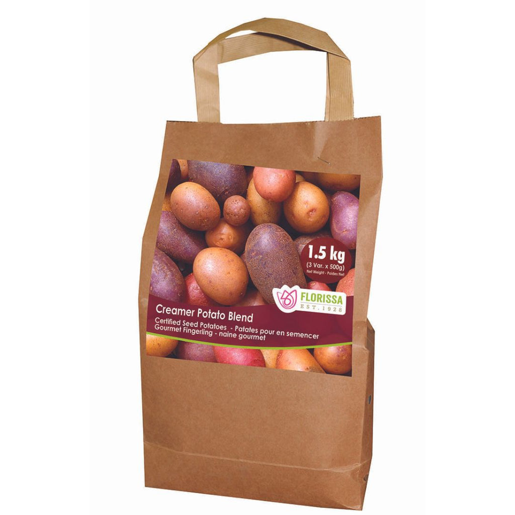 Preorder Potato Combo Fingerling Bag - C6 | Amsterdam Garden Centre